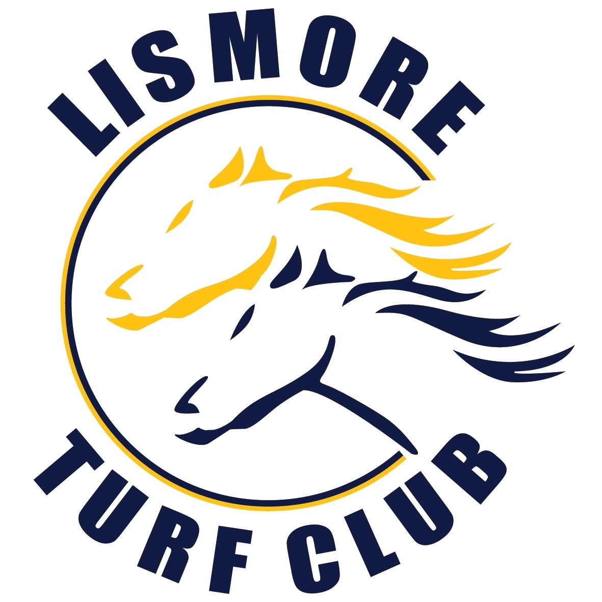 Lismore Christmas Party Race Day - Westpac Rescue Helicopter Service